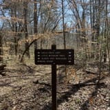 Viles Branch Equestrian Trail, Arkansas - 22 Reviews, Map | AllTrails