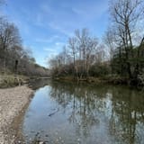 Viles Branch Equestrian Trail, Arkansas - 22 Reviews, Map | AllTrails