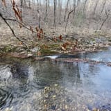 Viles Branch Equestrian Trail, Arkansas - 22 Reviews, Map | AllTrails