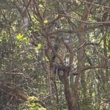 Mount Coot-tha Summit via J C Slaughter Falls, Queensland, Australia ...