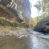 The Drip Walking Track, New South Wales, Australia - 138 Reviews, Map ...