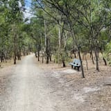 Gresswell Forest Loop, Victoria, Australia - 309 Reviews, Map | AllTrails