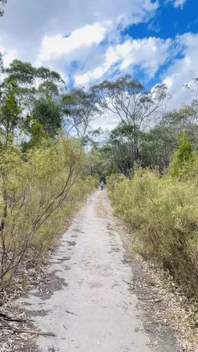 Best Hikes and Trails in Gresswell Forest (part b) Nature Conservation ...