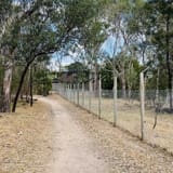 Gresswell Forest Loop, Victoria, Australia - 309 Reviews, Map | AllTrails