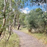 Gresswell Forest Loop, Victoria, Australia - 309 Reviews, Map | AllTrails