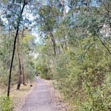 Gresswell Forest Loop, Victoria, Australia - 313 Reviews, Map | AllTrails