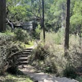 The Drip Walking Track, New South Wales, Australia - 138 Reviews, Map ...