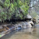 The Drip Walking Track, New South Wales, Australia - 138 Reviews, Map ...