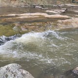 The Drip Walking Track, New South Wales, Australia - 138 Reviews, Map ...