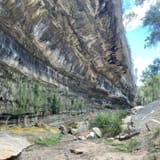 The Drip Walking Track, New South Wales, Australia - 138 Reviews, Map ...