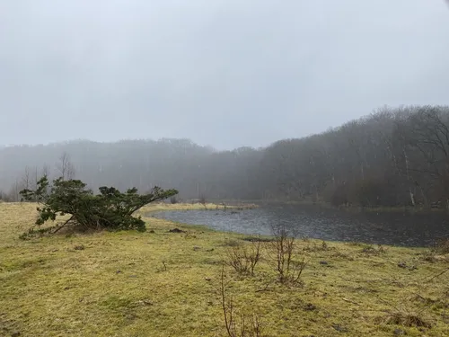 Best Hard Trails in Mols Bjerge National Park | AllTrails