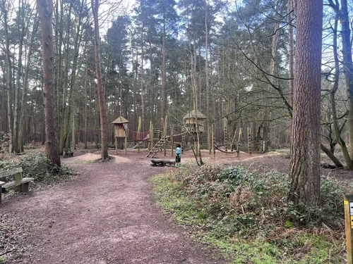 Best Historic Site Trails in Brandon Country Park | AllTrails