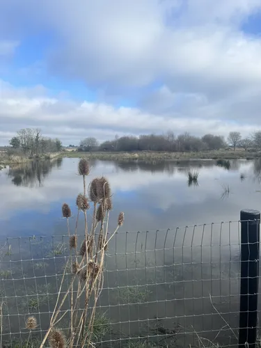 Turvey Nature Reserve: de beste routes om te wandelen | AllTrails