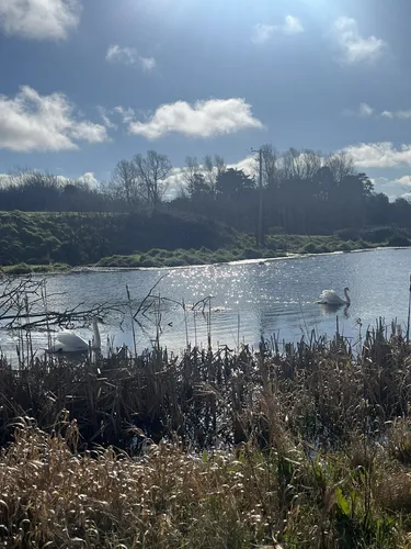 Turvey Nature Reserve: de beste routes om te wandelen | AllTrails