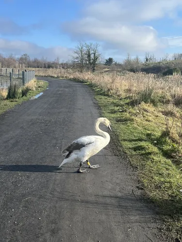 Turvey Nature Reserve: de beste routes om te wandelen | AllTrails
