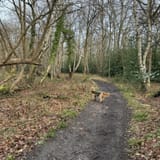 Petts Wood and Hawkwood Circular, London, England - 197 Reviews, Map ...