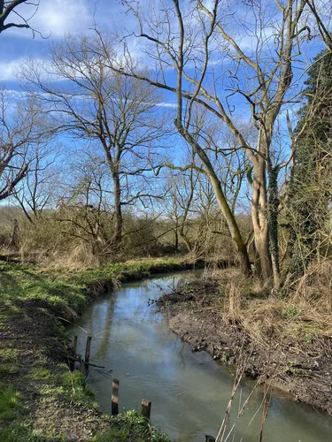 Best Trail Running Trails in Worsbrough Mill Park | AllTrails