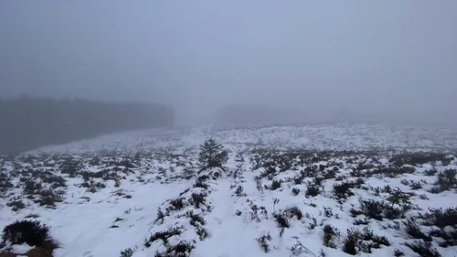 Slieve Bloom Mountains Nature Reserve: de beste routes om te wandelen ...