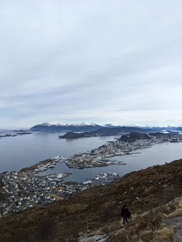 Best Bird Watching Trails in Ålesund | AllTrails