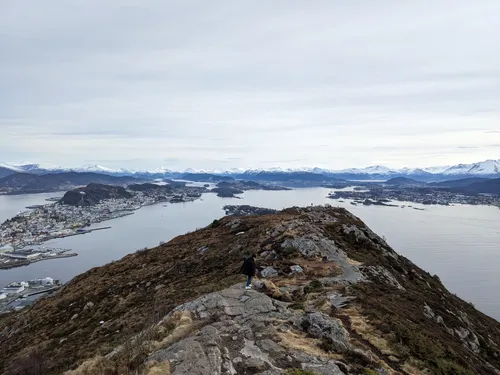 Best Bird Watching Trails in Ålesund | AllTrails