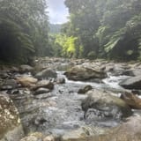 Angelito Trail, East Region, Puerto Rico - 656 Reviews, Map | AllTrails