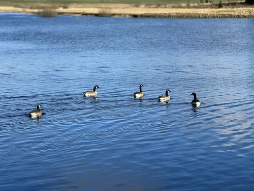 Best Hikes and Trails in Hafod Elwy National Nature Reserve | AllTrails