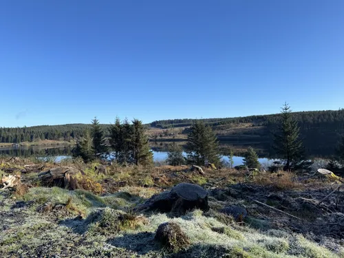 Best Hikes and Trails in Hafod Elwy National Nature Reserve | AllTrails