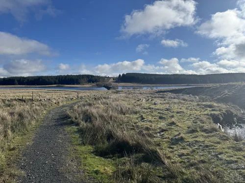 Best Hikes and Trails in Hafod Elwy National Nature Reserve | AllTrails