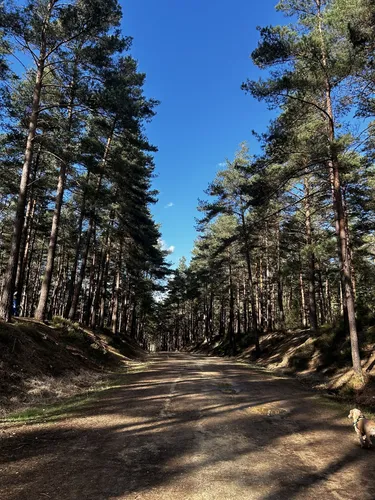Best Hikes and Trails in Bracknell Forest | AllTrails