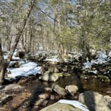 Pine Swamp Loop, New York - 1,220 Reviews, Map | AllTrails