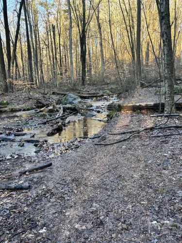 Best Short Trails in State Game Lands Number 156 | AllTrails