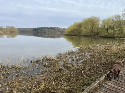 Best Historic Site Trails in Calke Park | AllTrails