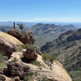 Peralta Trail, Geronimo's Cave, Lone Tree, and Bluff Springs Loop ...