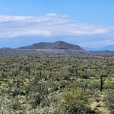 Coon Bluff Trail, Arizona - 708 Reviews, Map | AllTrails