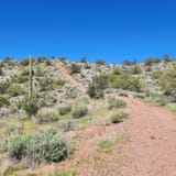Coon Bluff Trail, Arizona - 708 Reviews, Map | AllTrails