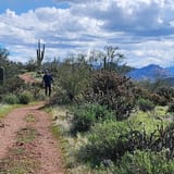 Coon Bluff Trail, Arizona - 708 Reviews, Map | AllTrails