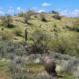 Coon Bluff Trail, Arizona - 708 Reviews, Map | AllTrails