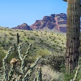 Coon Bluff Trail, Arizona - 708 Reviews, Map | AllTrails