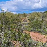 Coon Bluff Trail, Arizona - 775 Reviews, Map | AllTrails