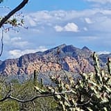 Coon Bluff Trail, Arizona - 775 Reviews, Map | AllTrails