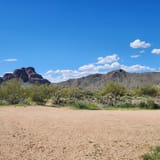 Coon Bluff Trail, Arizona - 775 Reviews, Map | AllTrails