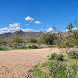 Coon Bluff Trail, Arizona - 775 Reviews, Map | AllTrails