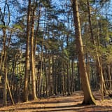 Old Mill Trail, Massachusetts - 258 Reviews, Map | AllTrails