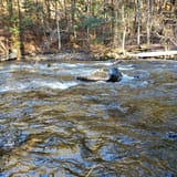 Old Mill Trail, Massachusetts - 257 Reviews, Map | AllTrails