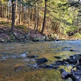 Old Mill Trail, Massachusetts - 257 Reviews, Map | AllTrails