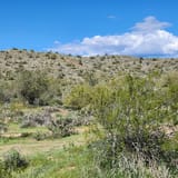 Coon Bluff Trail, Arizona - 775 Reviews, Map | AllTrails