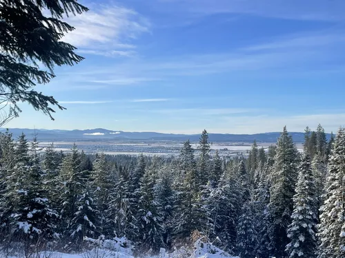 Best Hikes and Trails in Rathdrum | AllTrails Best Hikes and Trails in Rathdrum | AllTrails