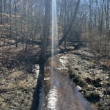 Bacon Ridge Trail: Phase 3, Maryland - 2,308 Reviews, Map | AllTrails