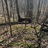 Bacon Ridge Trail: Phase 3, Maryland - 2,308 Reviews, Map | AllTrails