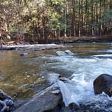 Old Mill Trail, Massachusetts - 260 Reviews, Map | AllTrails